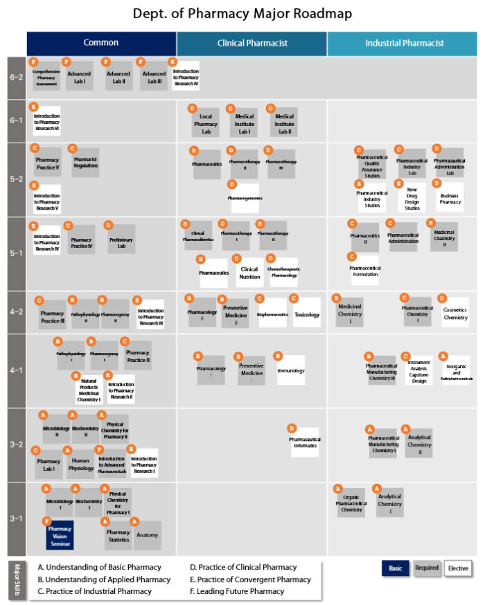 약학과 | Major Roadmap
